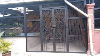 Design grill terkini 2019