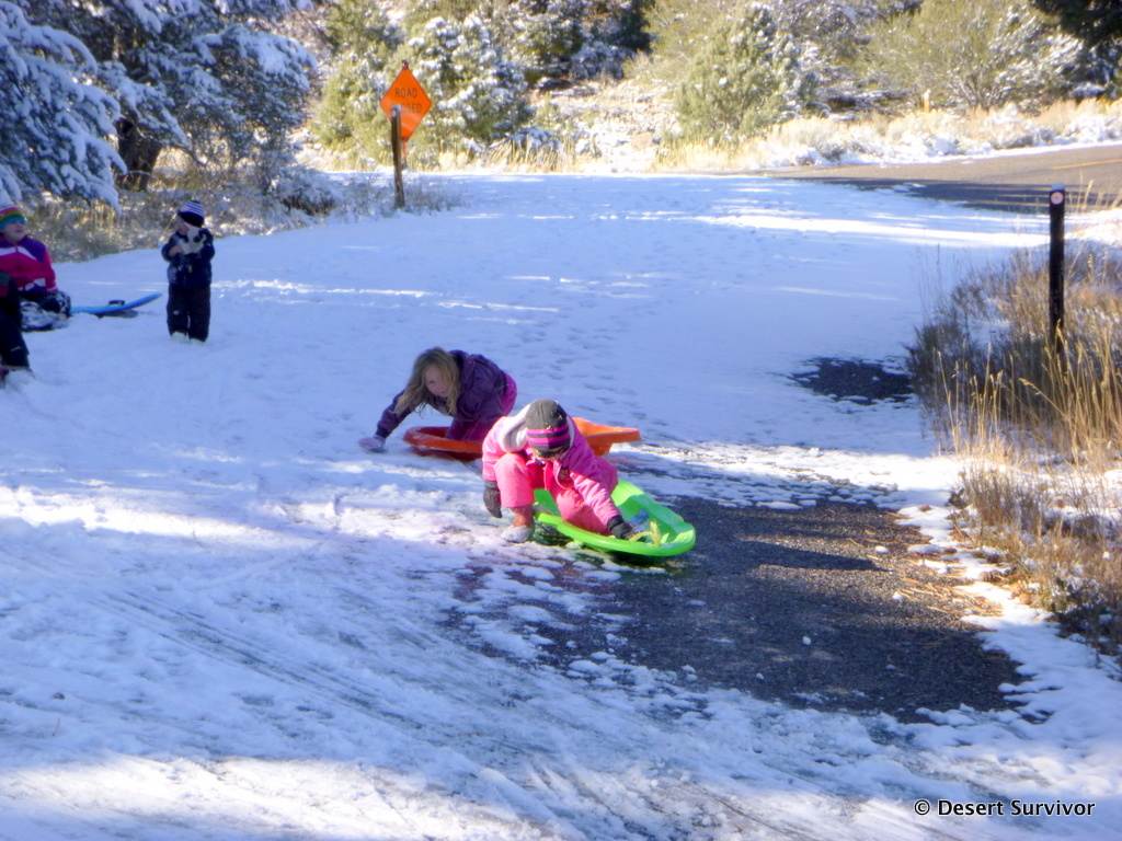 Desert Survivor: Our First Sledding Trip of the 2015/16 Winter