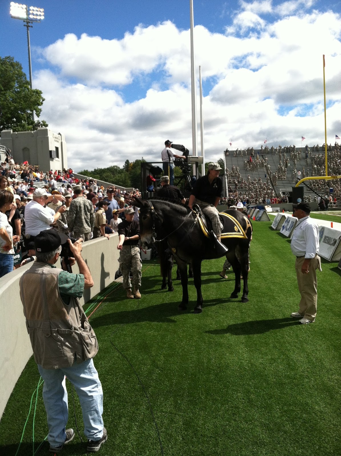 Horse Country Chic: Army Mules, Again