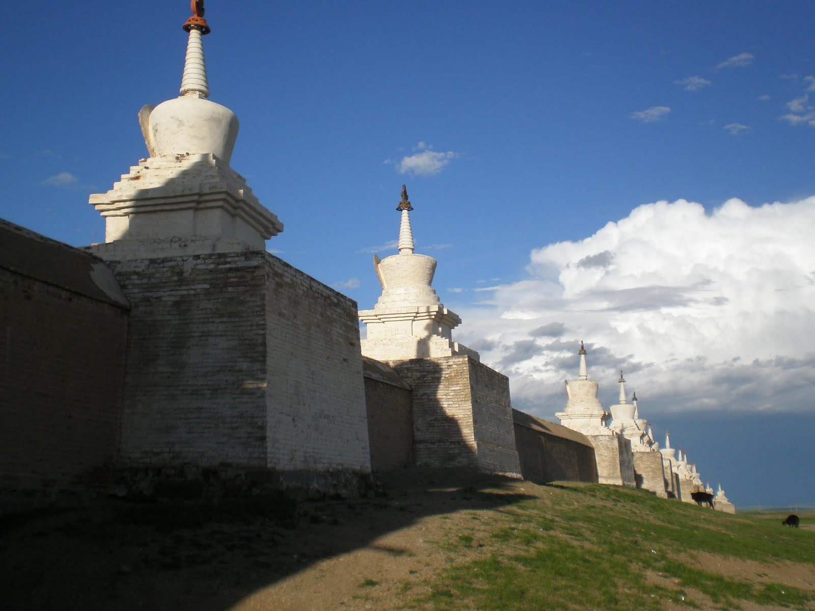 SUVISED REISID 2012: Mongoolia