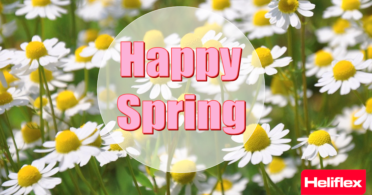 Heliflex Tubos e Mangueiras, S.A.