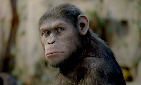 Blog Joker: Andy Serkis fala sobre o futuro de Planeta dos Macacos