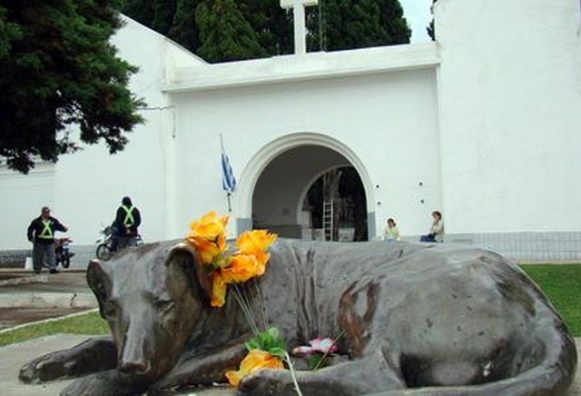 [CONMOVEDOR] Un Perro llamado Gaucho y una historia de lealtad que te ...