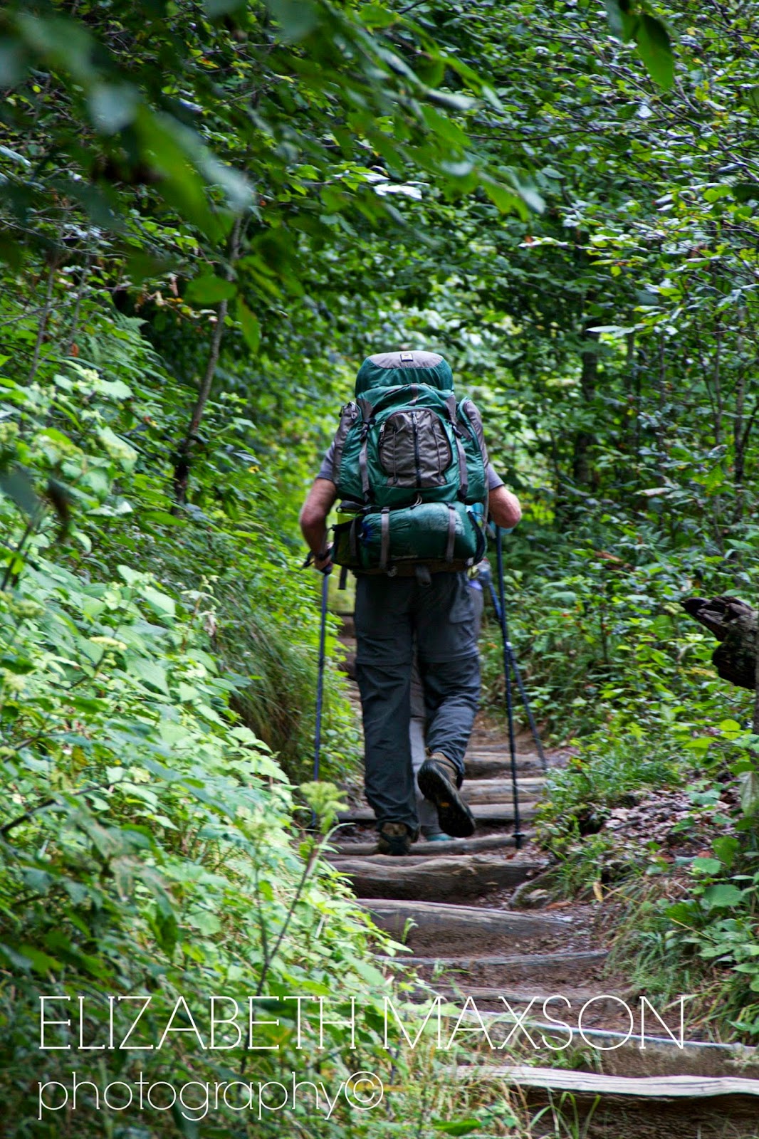 The Adventures of Elizabeth: Some Pathways Need Passing