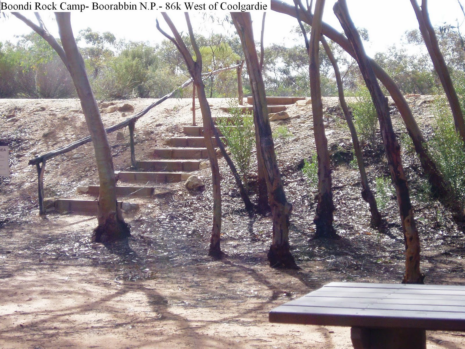 Nannapop West Australia Return to Main Site: 2nd August 2011 - Boondi ...