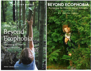 Poniendo el corazón en la Educación Ambiental