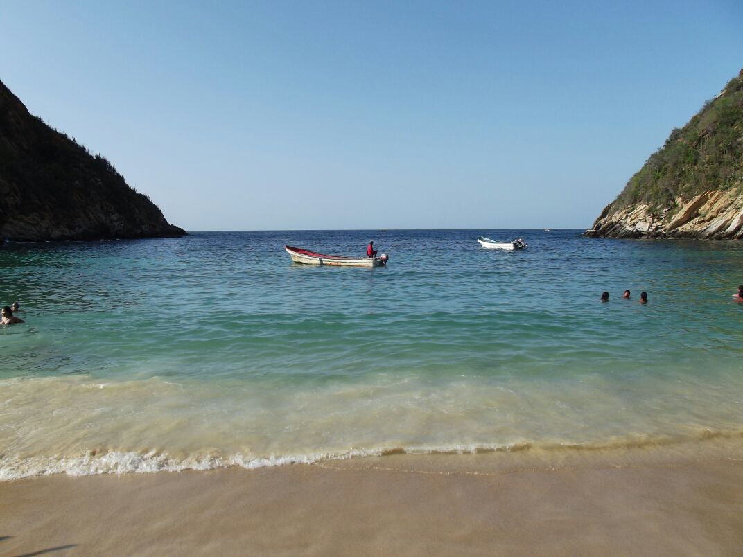 Andando por Venezuela: Choroní (Playa Grande) - Tuja