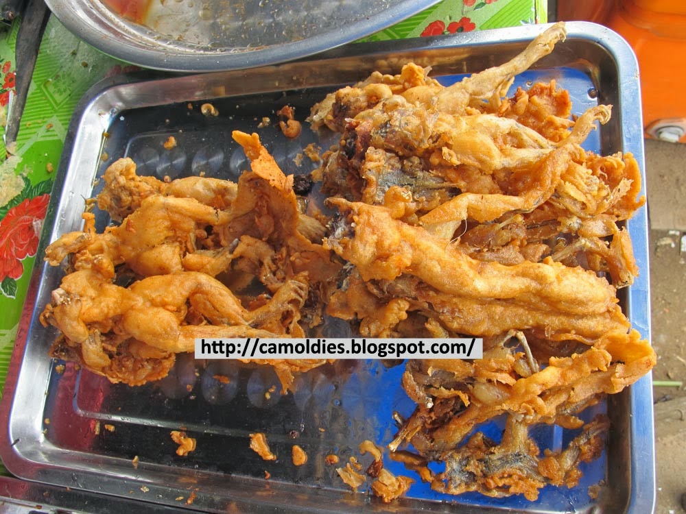 Frog, Shrimp - Cam Oldies