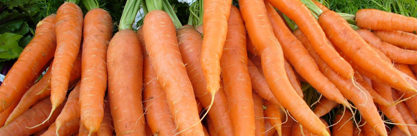 Gintarinėj virtuvėlėj: Kai nieko neturi, tai ir nereikia nieko. Trinta ...