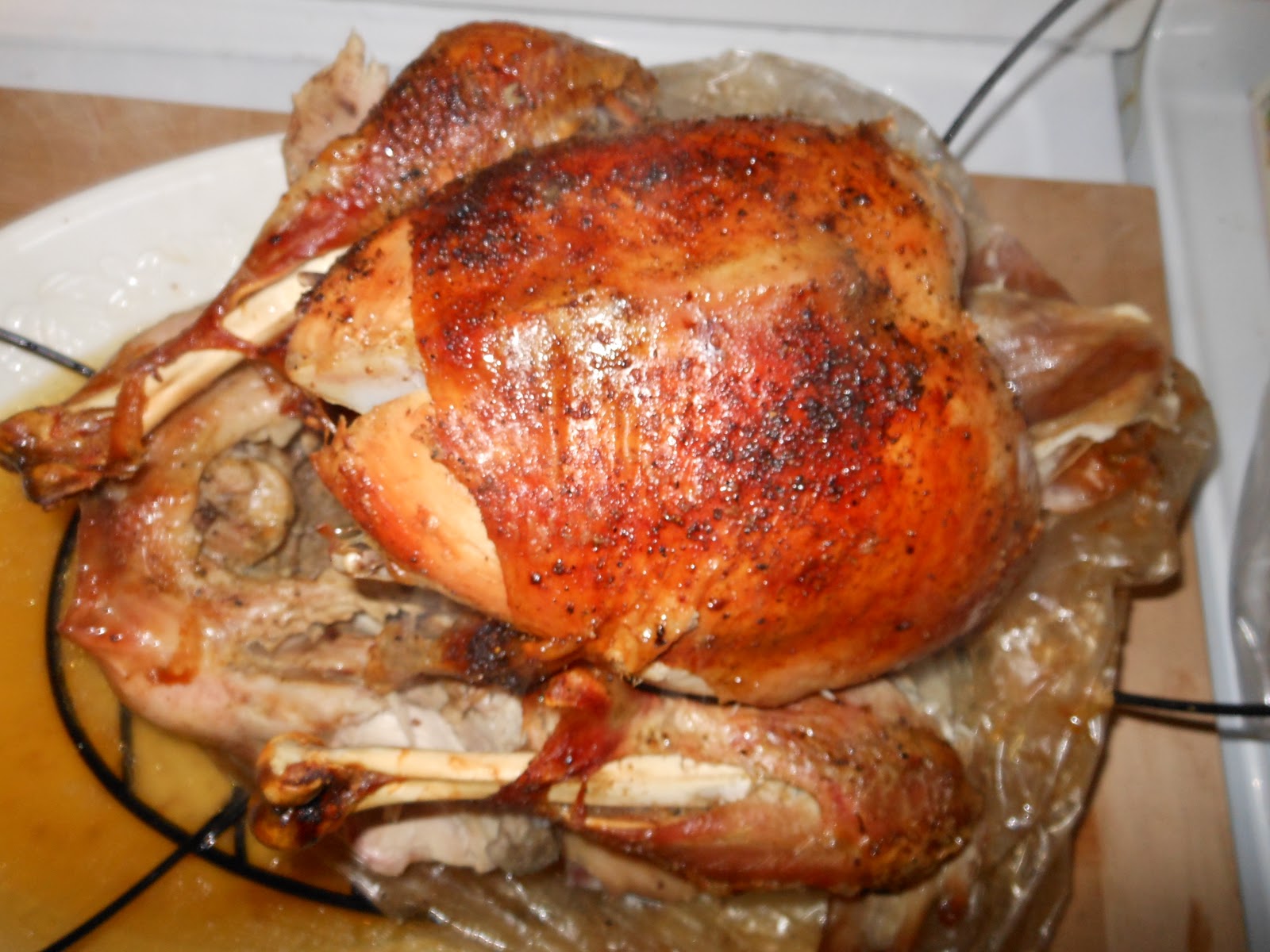 A Day in the Life of Pugs: Happy Thanksgiving