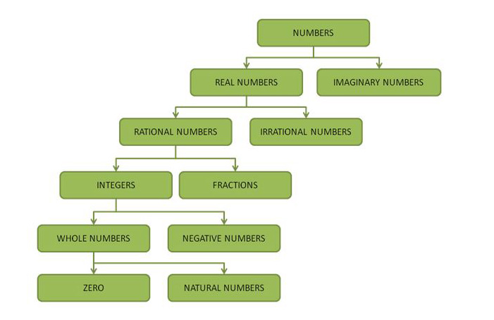 Real Numbers Flowchart