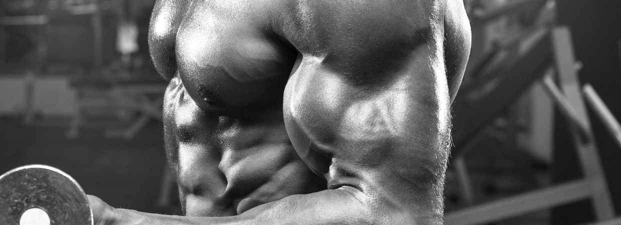 Ejercicios para desarrollar los bíceps - MIGUELWORKFIT