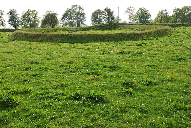 Artist of the day: Artist of the day, September 20: Maya Lin, American ...
