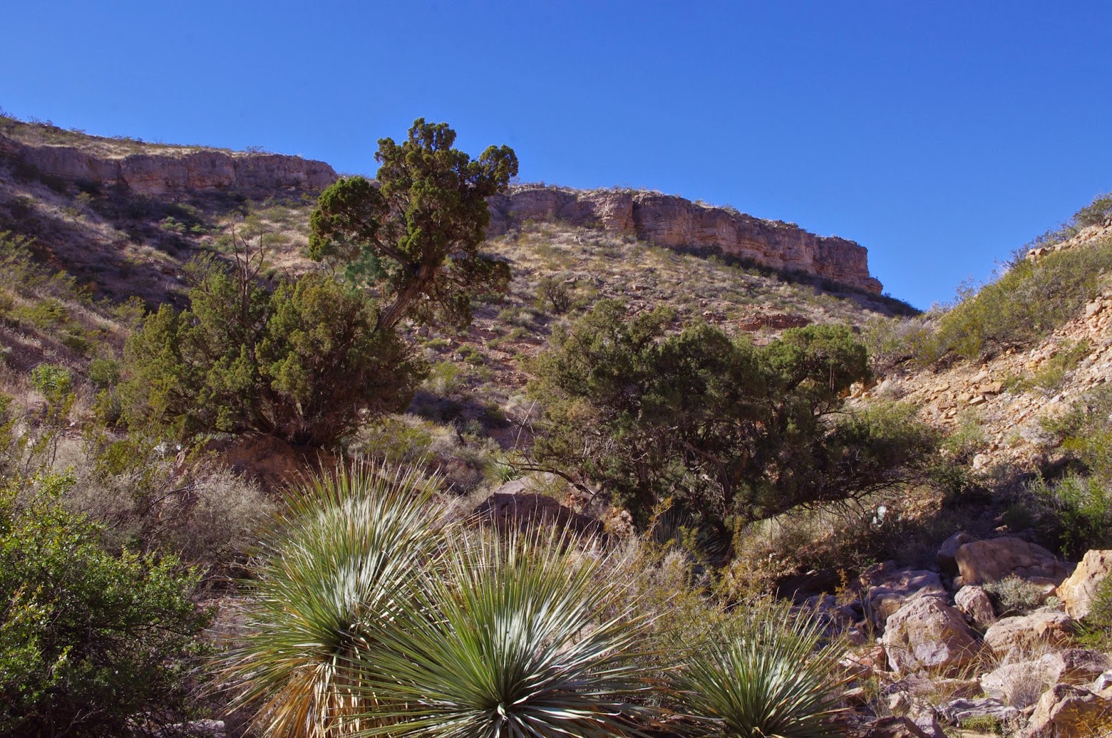 Southern New Mexico Explorer: Robledo Mountains Wilderness, " Middle ...