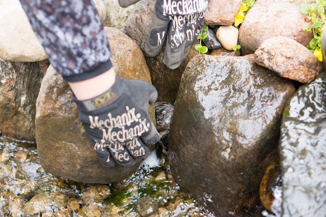 Baby squirrel rescued from drowning (12 pics) | Amazing Creatures