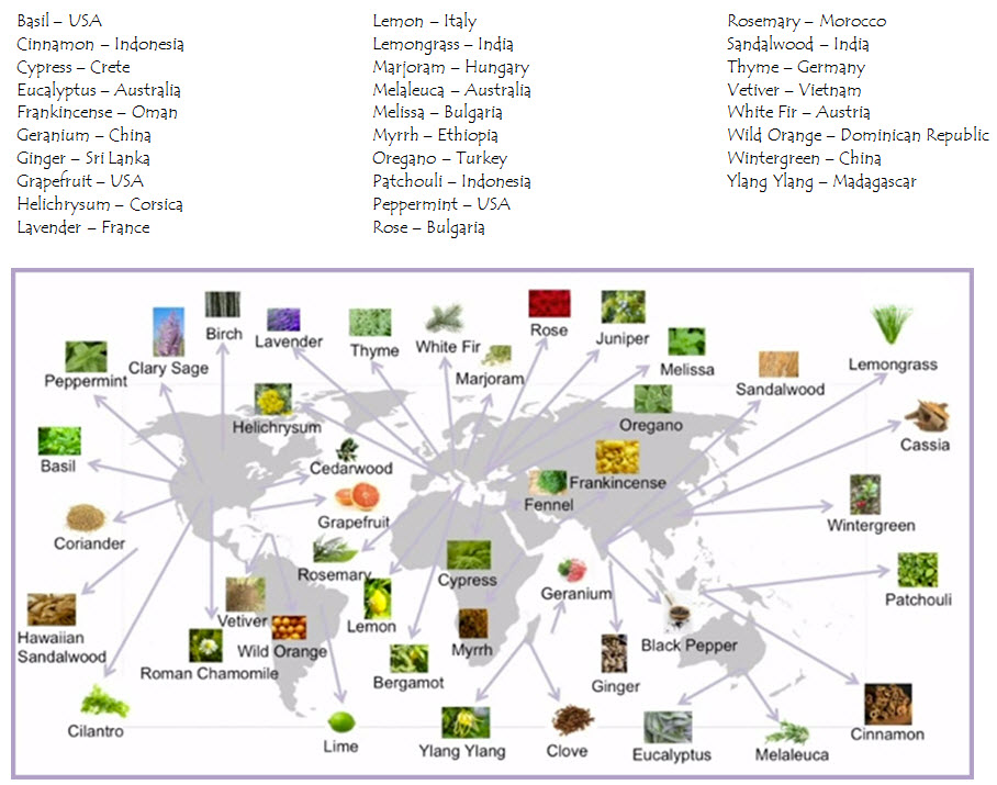 The Wonderful World of Essential Oils: doTERRA Oil Origins Map