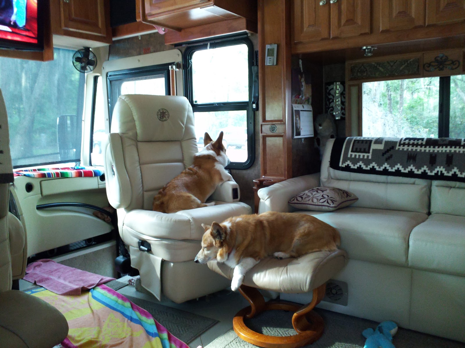 Our Motorhomes and Decision to Full-Time