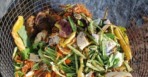 Good Composting Tips
