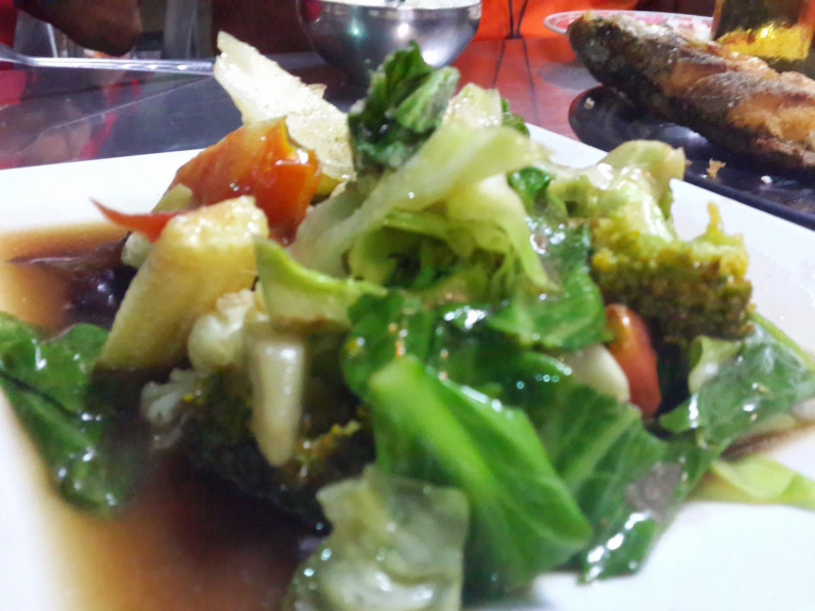 haPpY HaPpY: Day 4 - Bike Touring from Khanom to Surat Thani, South Thailand