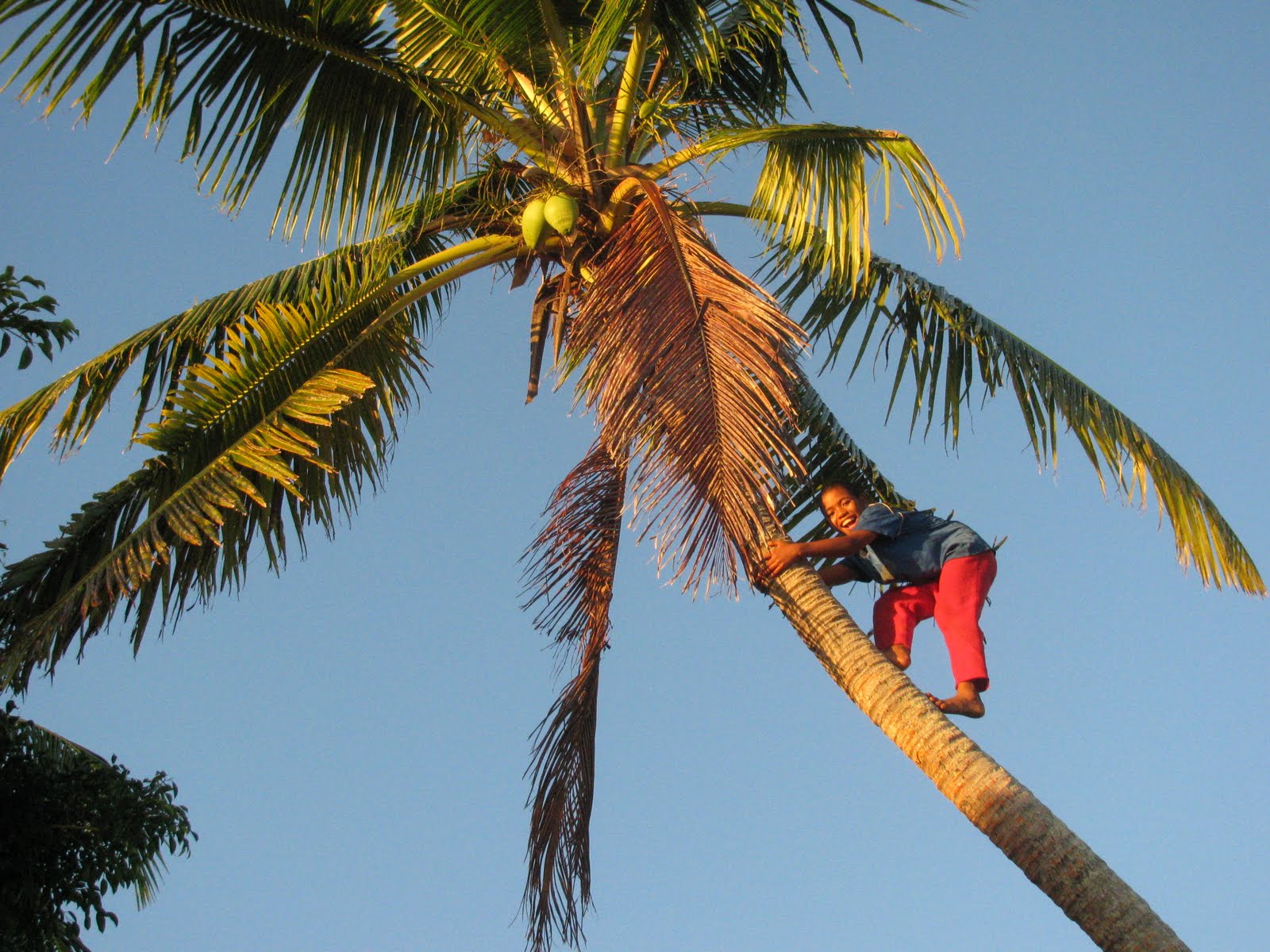 Where in the world is Farfum? THE KINGDOM OF TONGA: Hanging out at the ...