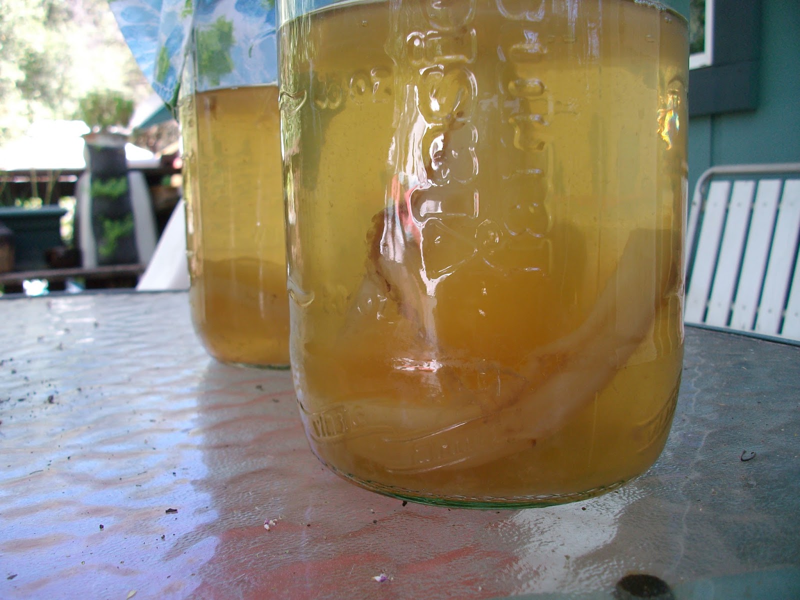 Big Tree Kombucha: "No Tea Kombucha"