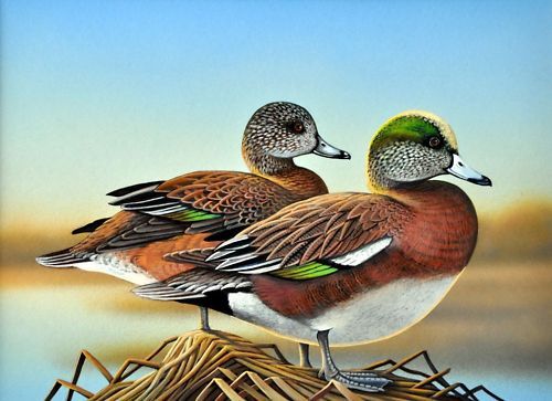 Hamparan Seni: Itik Mandarin