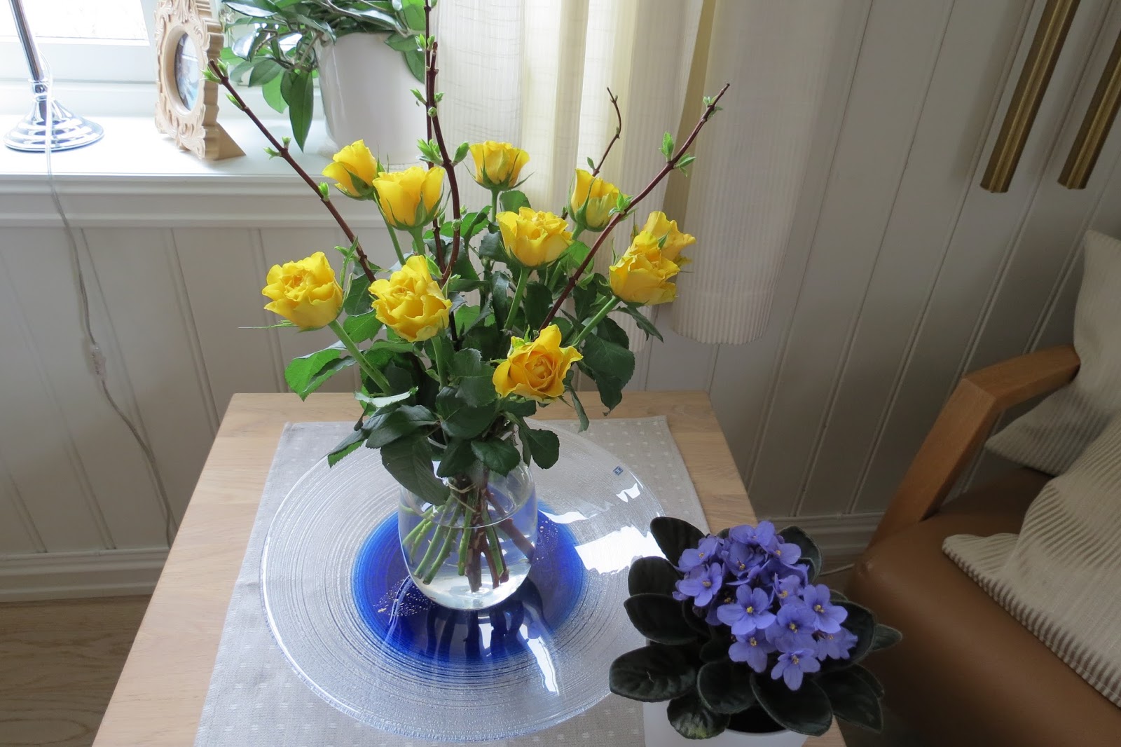 Lillians hage: Gule roser pyntet med greiner av skjærsmin