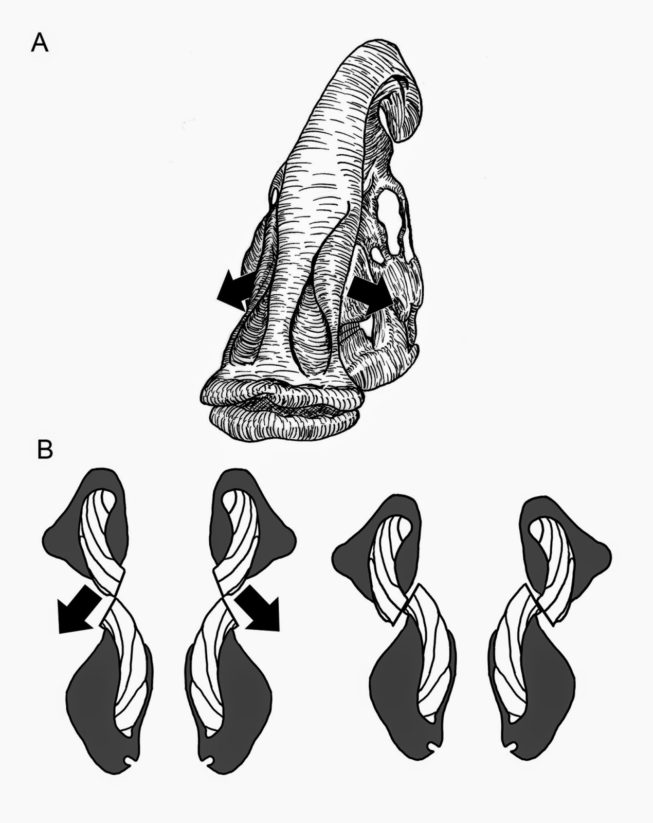 The Ornithischian Revolution