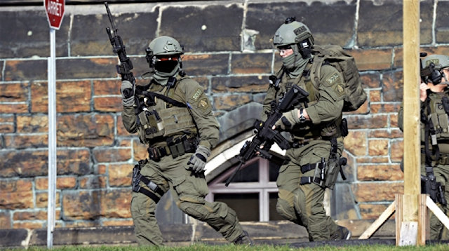 Gsg9 1/87 Unité spéciale: GTI Canada