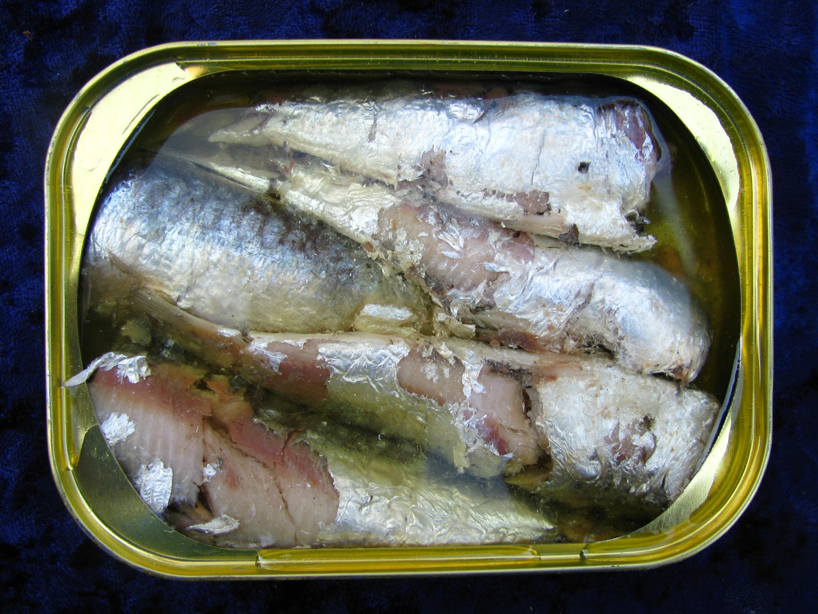 Mouth Full of Sardines: DELAMARIS- 86