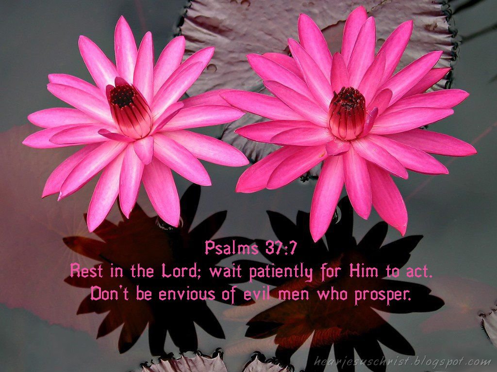 Christian Wallpapers: Bible Verse Wallpaper - Psalms 37:7
