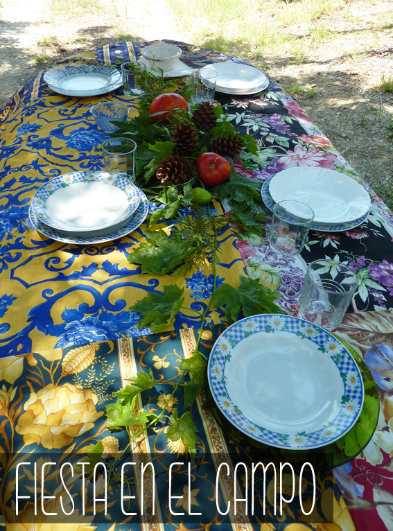 Qué cosas haces: Fiesta improvisada en el campo - Improvised party in ...