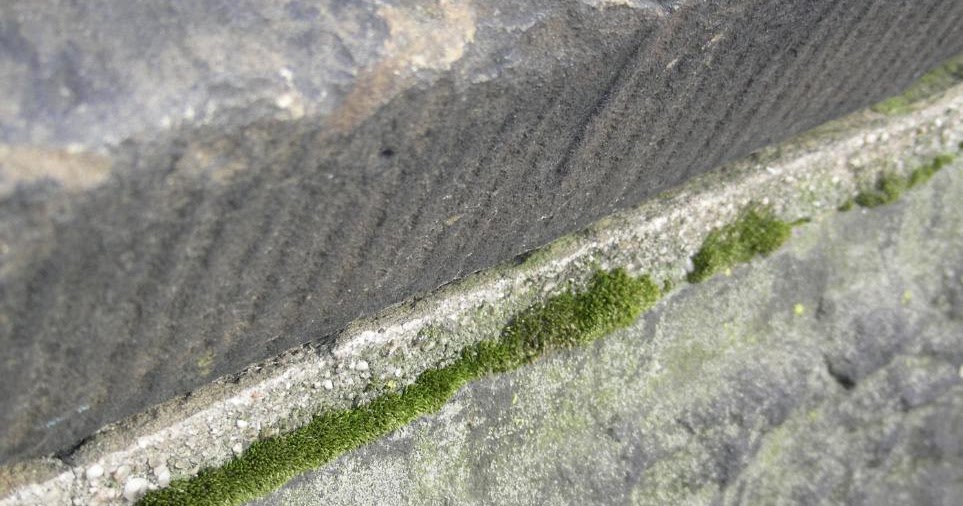 clocktowertenants.com: where is Hunter’s Gate?