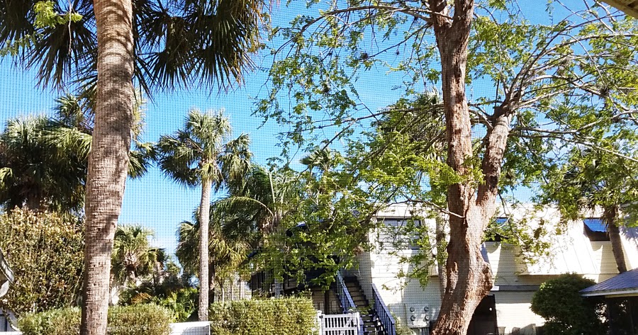 Miss Edna's Place: A Beautiful Day To End Our Vacation