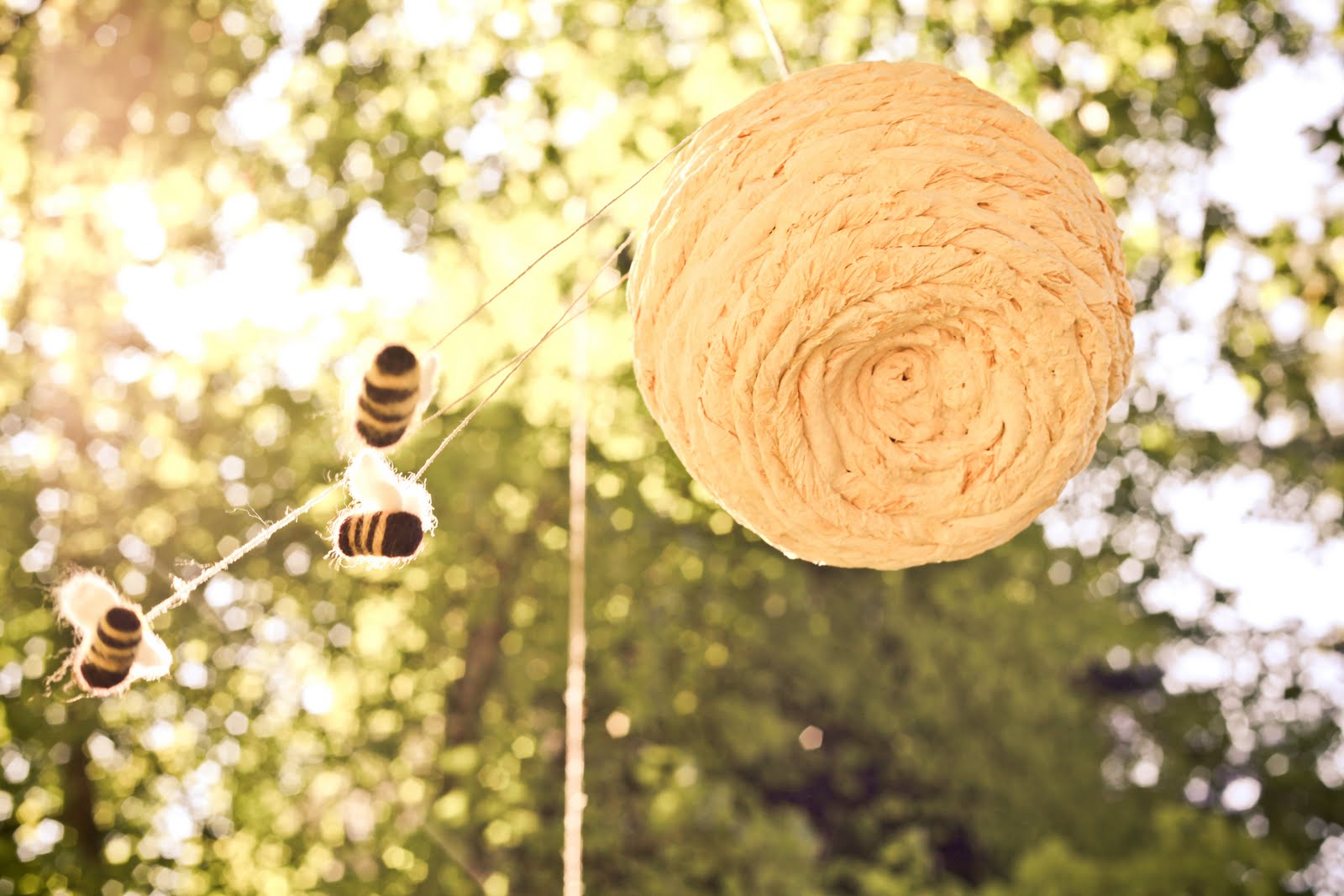 Shennanigans: secret life of bees