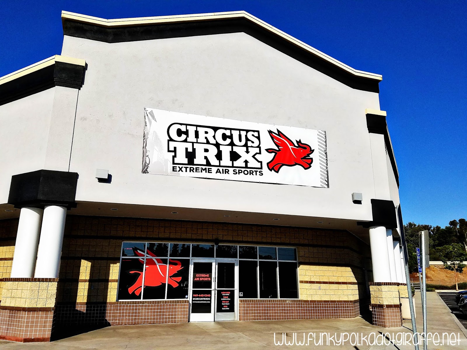 Funky Polkadot Giraffe: The Ultimate EXTREME Birthday Party CircusTrix OC