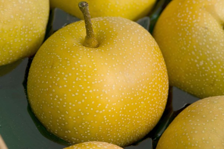 Temperate Climate Permaculture: Asian Pear Varieties... just a sampling