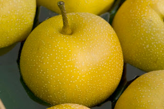 Temperate Climate Permaculture: Asian Pear Varieties... just a sampling