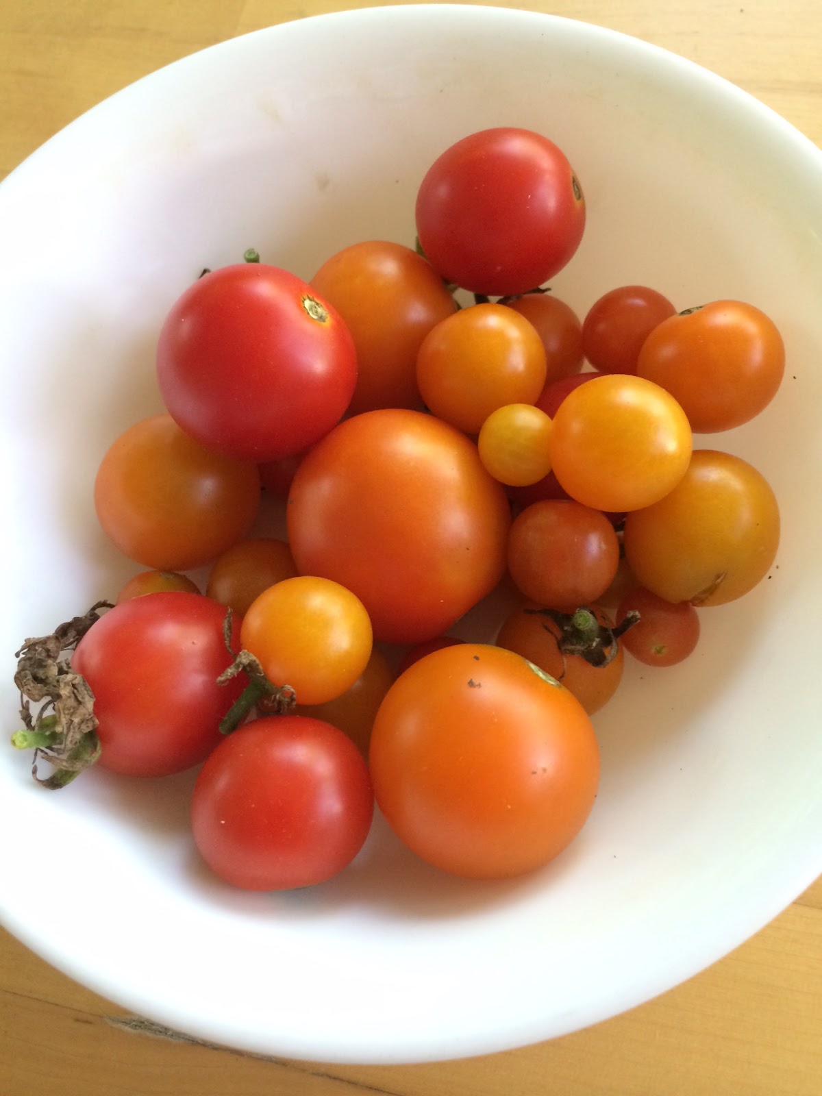WashingtonGardener: Fenton Friday: Beans Climb, Tomatoes Leap