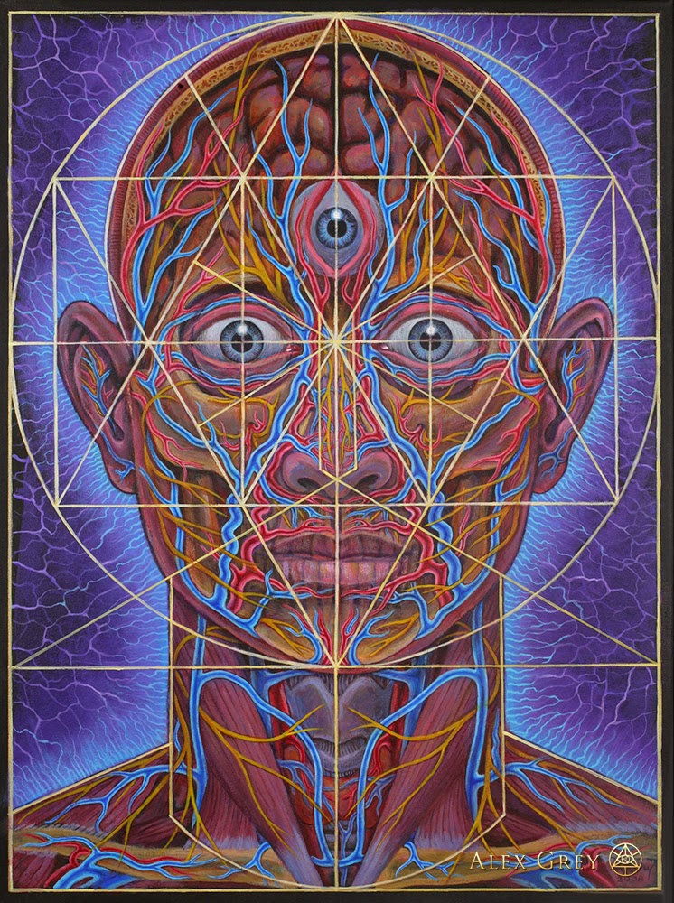 "Progress Of The Soul" por Alex Grey Part.3 | Psychedelia