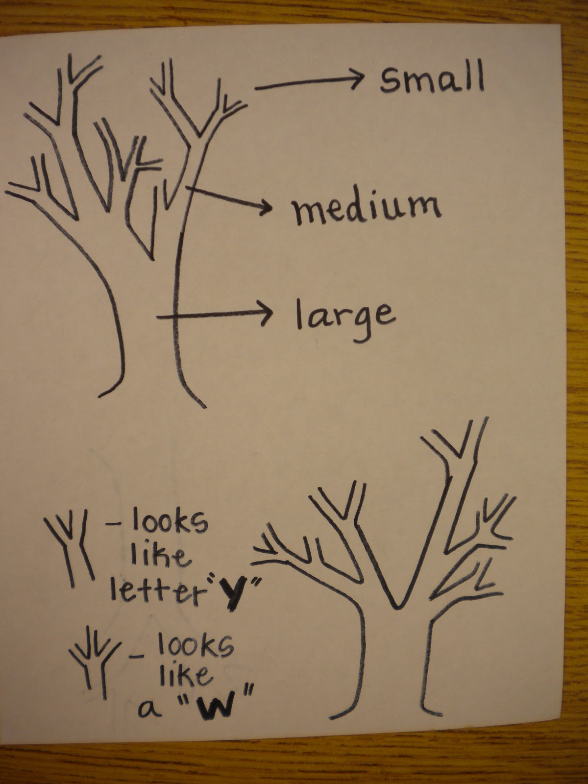 Ms. L's Art Room: First Grade Art