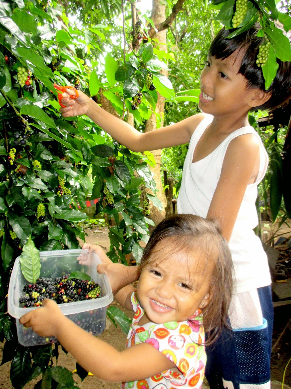 Manipud Kadagiti Editor ti Bannawag: Ar-arusip!