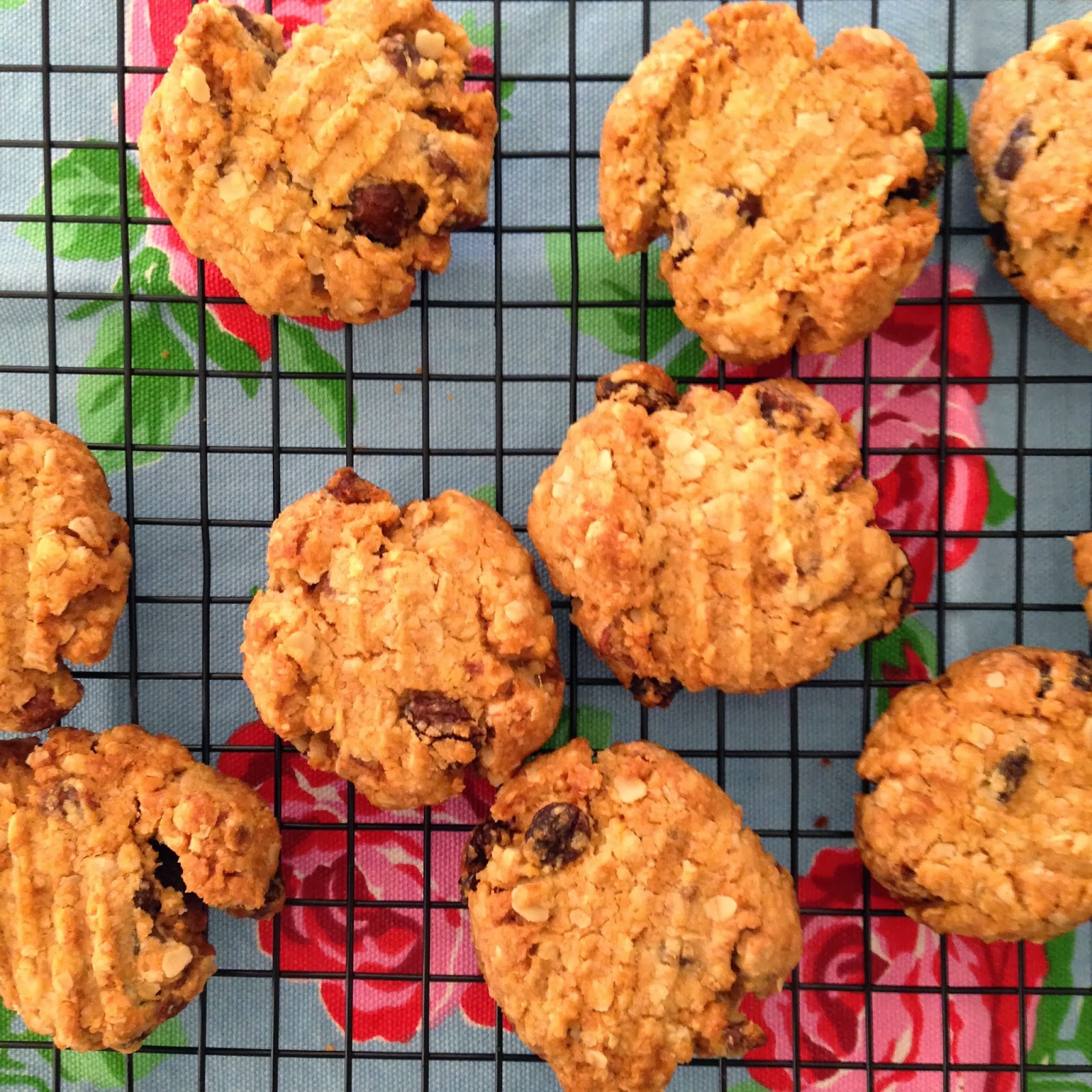 SERENDIPITY AND KATE: ORANGE & FIG BISCUITS