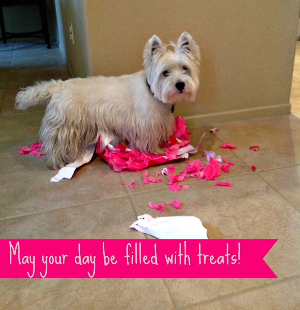 The White Dog Blog: November 2014