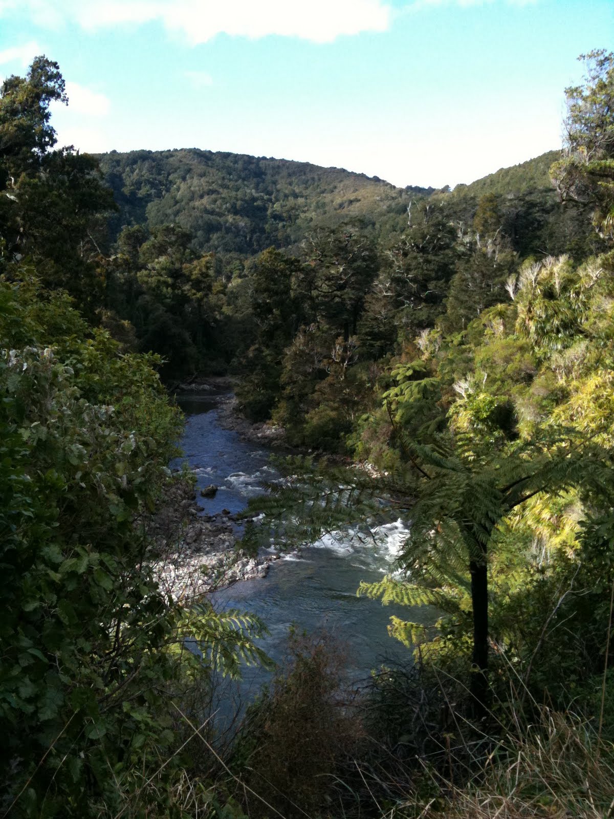 Bros in New Zealand: Kaitoke Regional Park (Rivendell)