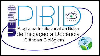 O Que é o PIBID ? | PIBID BIOLOGIA UEPG