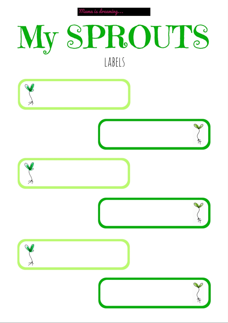 Sprouts growing observation + free printable | mamaisdreaming.blogspot ...