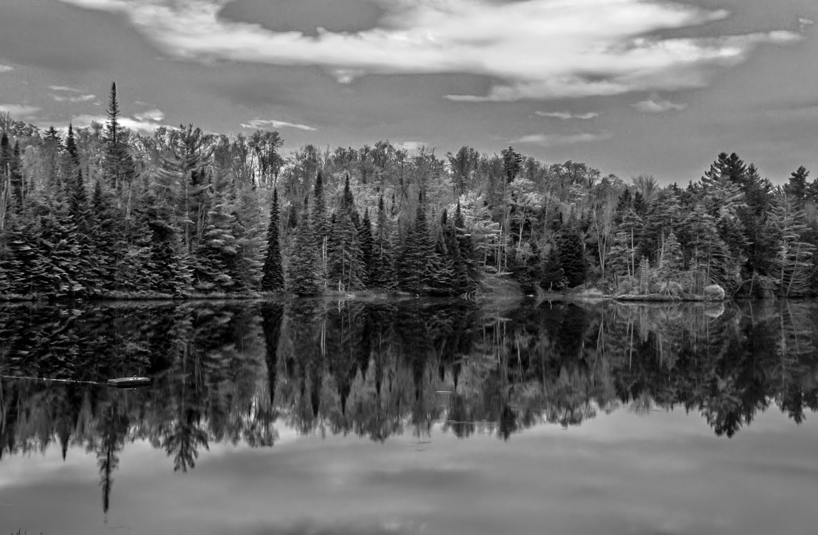 Dave Waite Fine Arts: Adirondacks in Black & White - Bog River Flow