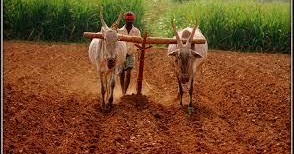 வடிகால்: ஆசீவகம் - ஆதி தமிழரின் தொன்ம மெய்யியல் - 3