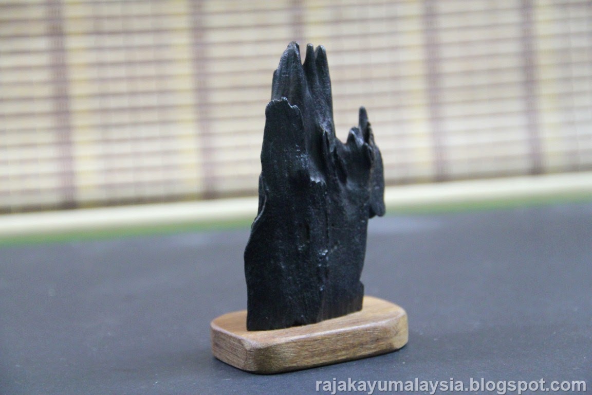 Raja Kayu Malaysia: Top Quality Malaysia Rare Kayu Kemuning Hitam ...